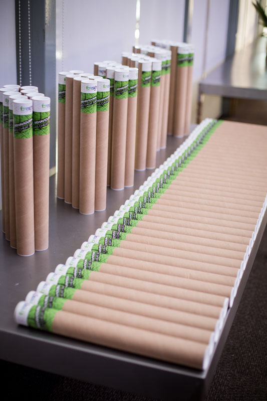 Foresight 2018 – Insight