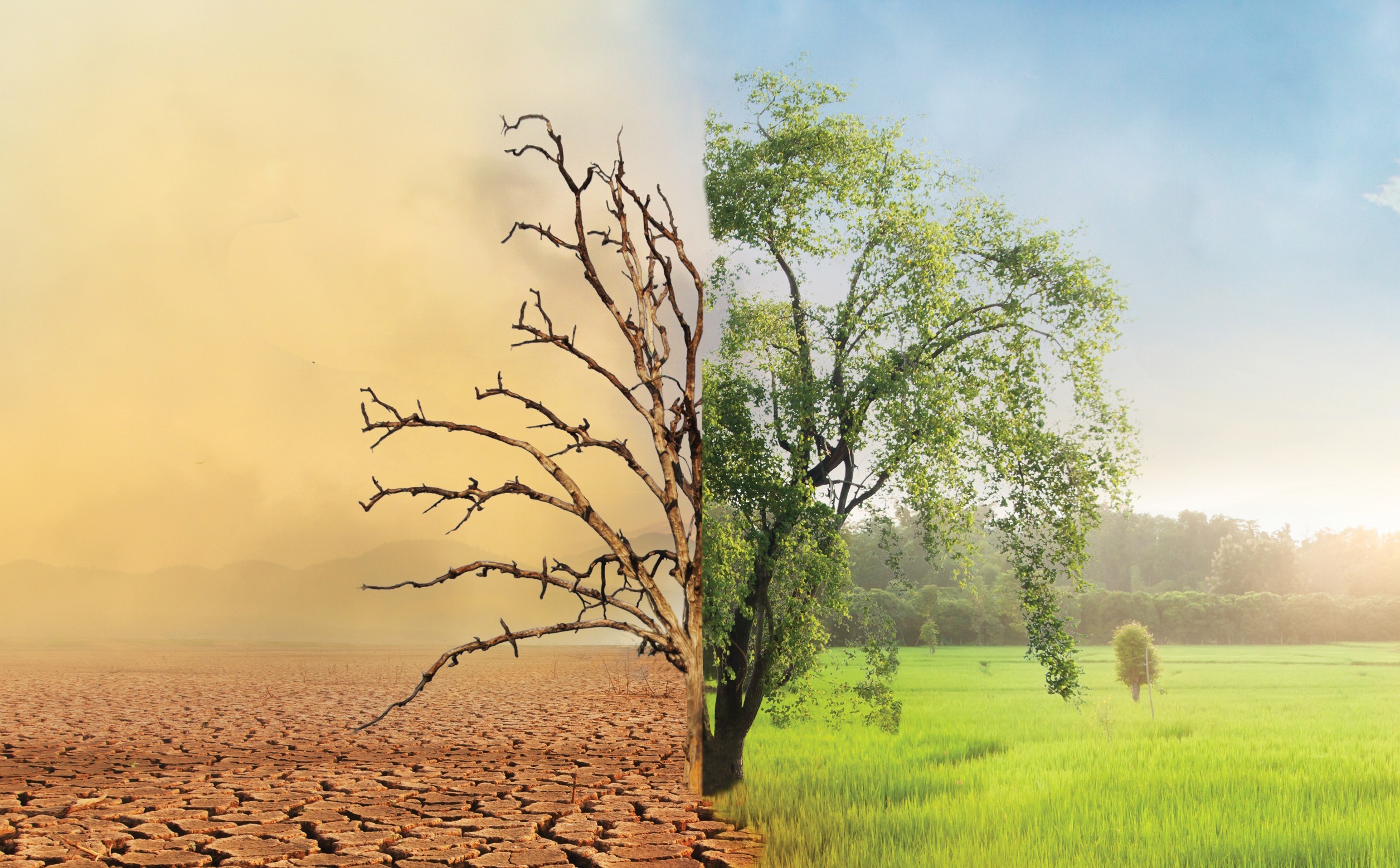 New Risk on the block – Insight